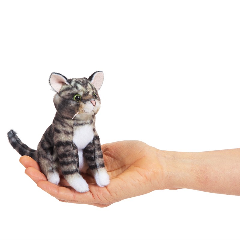Mini Tabby Cat Finger Puppet Folkmanis Ubicaciondepersonas cdmx gob mx